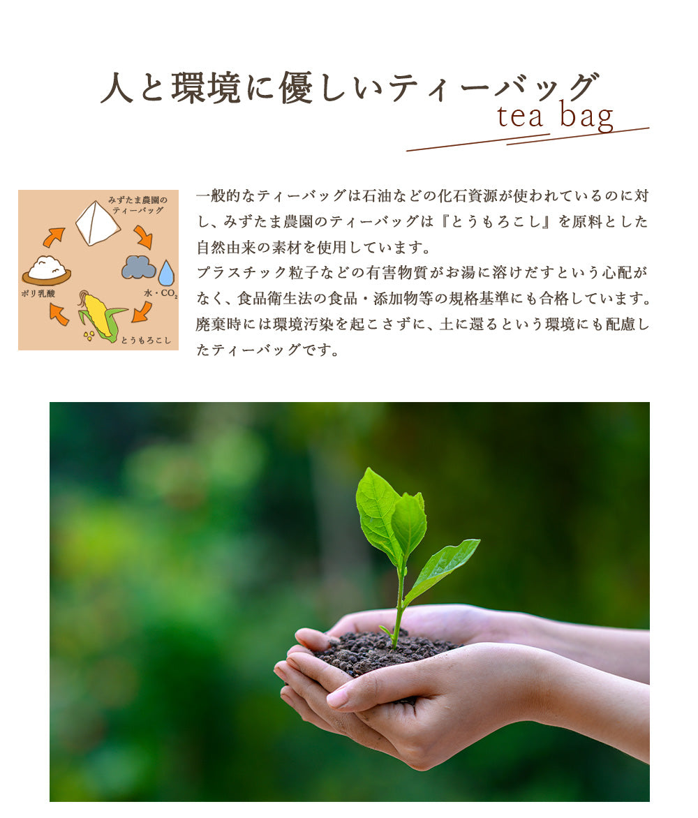 ゴクゴクすっきり 烏龍茶ティーバッグ 2g×100p | みずたま農園製茶場